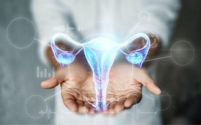 Endometrio: espessura normal na gravidez e análise endometrial | Dasa ...